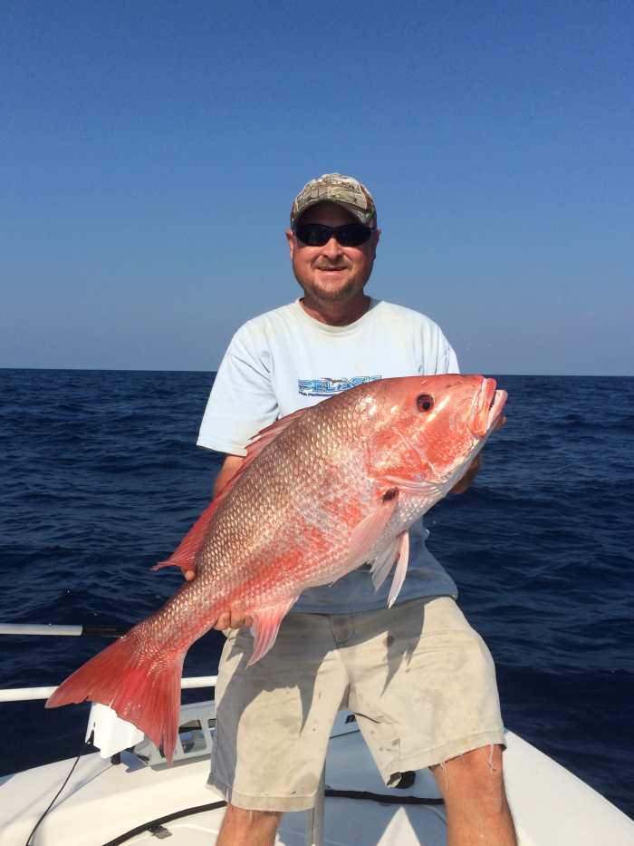 Red Snapper Fishing: Restrictions, Population Rebound, and a Personal ...