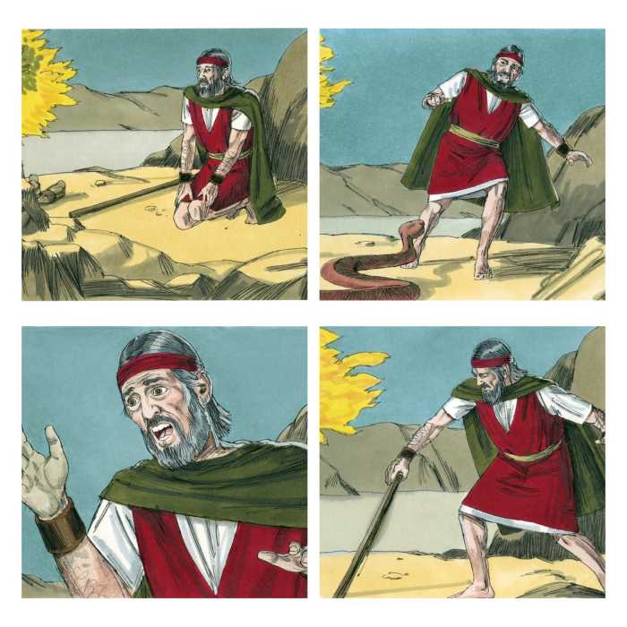 Echoes of Eden: Moses Explains Adam - HubPages