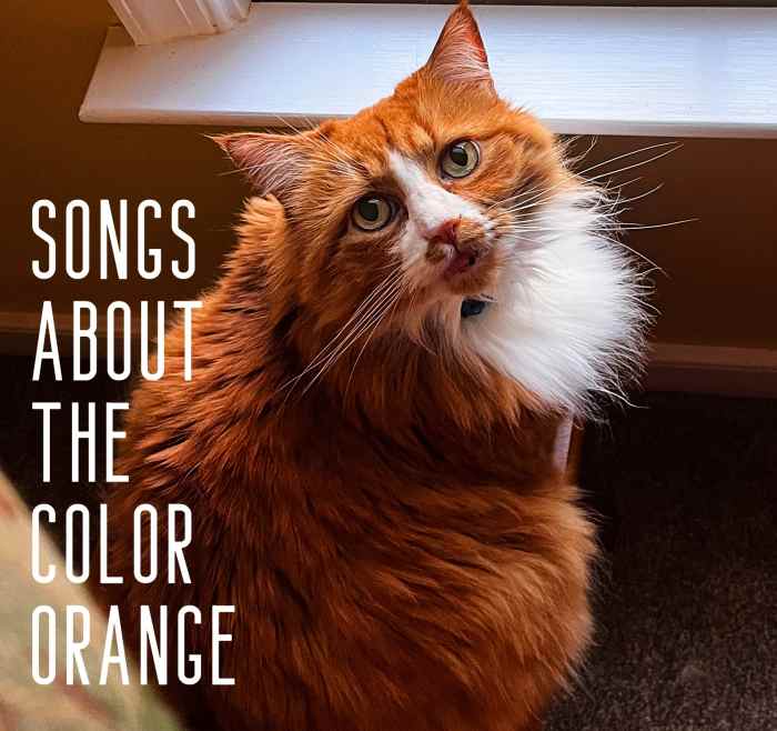 42 Songs About the Color Orange - HubPages