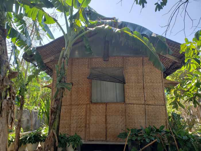 What To Do With Coconut Leaves? Creations Made From Coco Leaf - HubPages