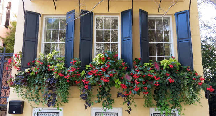 Window Boxes: Adding Beauty to Homes - HubPages