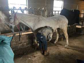 A Fun Way To Teach Kids About Grooming - HubPages