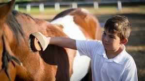 A Fun Way To Teach Kids About Grooming - HubPages