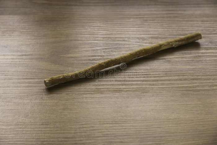 The Medicinal Uses of Salvadora Persica as a Mouth Washer - HubPages