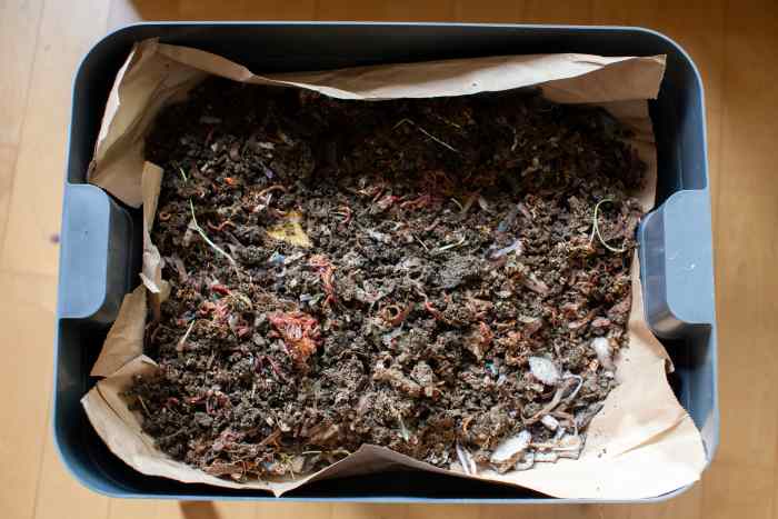How to Make Worm Compost in 3 Easy Steps - Dengarden