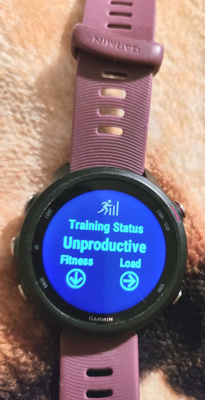 Garmin Verses Fitbit Fitness Tracker Watches - HubPages