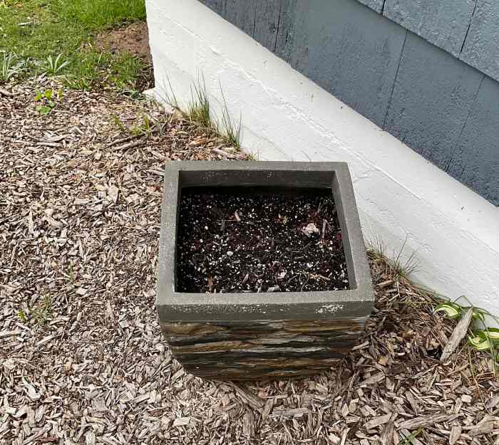 Vegetable Container Gardening: 10 Tips for Success - HubPages