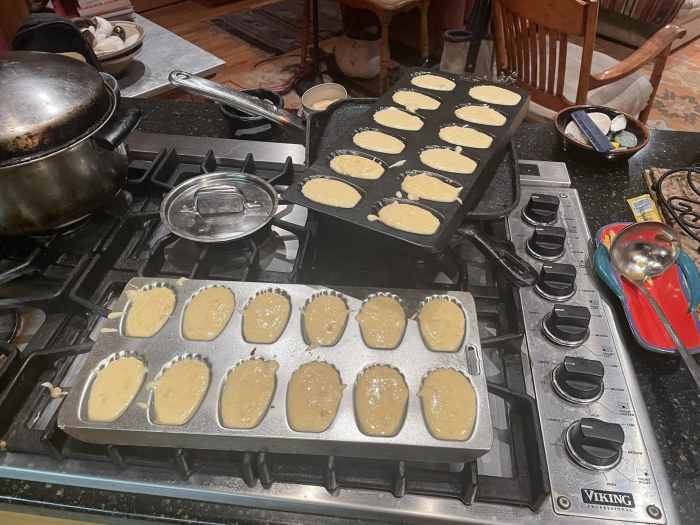 Quince Madeleines with Fig Glaze Recipe - HubPages