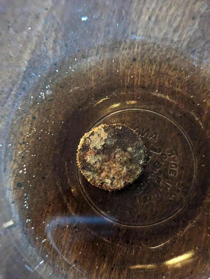 Penny Cleaning - Removing Corrosion - HubPages