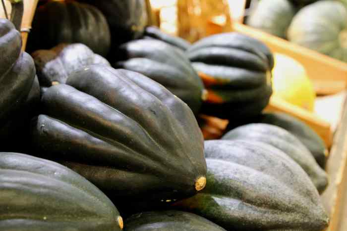 Vertical Squash Gardening: A Beginner's Guide - HubPages