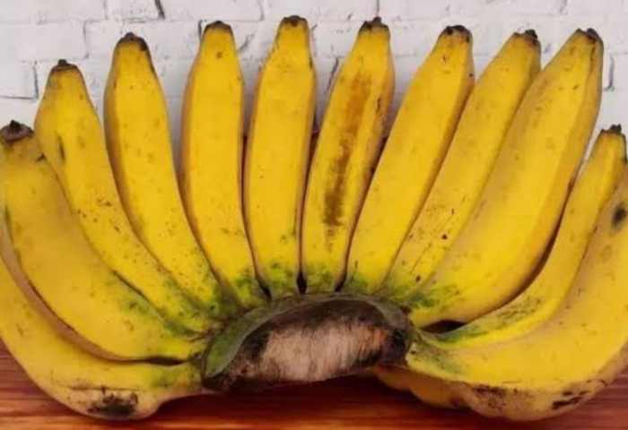 Pisang Goreng, Snack for Every Occasion - HubPages