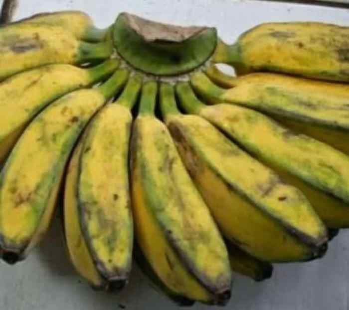 Pisang Goreng, Snack for Every Occasion - HubPages