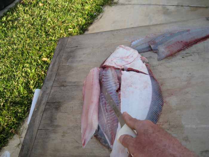 How to Clean and Filet a Flounder - HubPages
