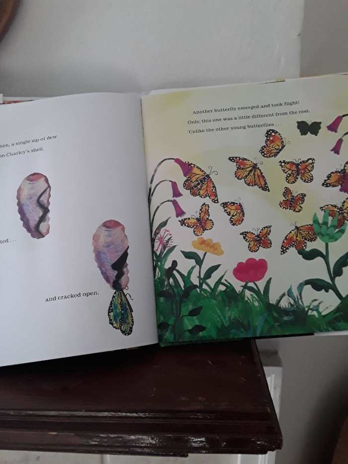 Caterpillar Becomes the Butterfly That He Wants to Be in Beautifully ...