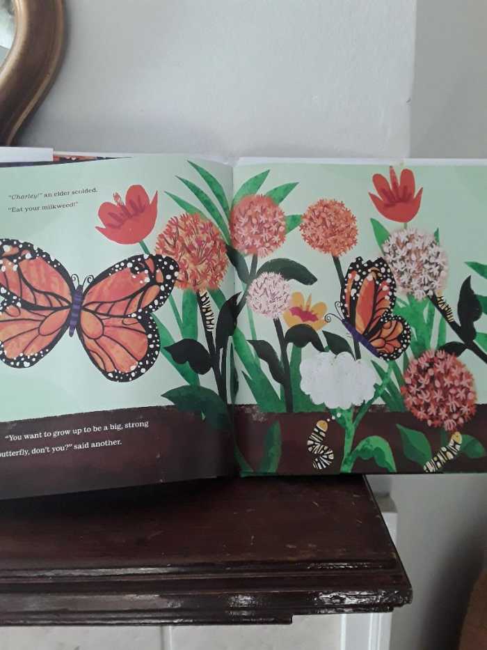 Caterpillar Becomes the Butterfly That He Wants to Be in Beautifully ...