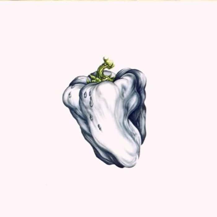 Ween - Studio Albums Ranked Worst to Best - HubPages