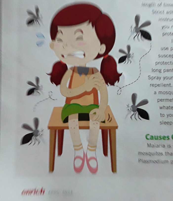 Time to Learn The Danger of Malaria And How to Protect You And Your ...