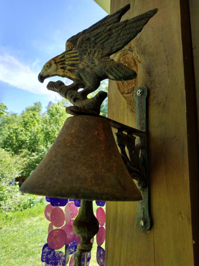 How to Bell Train Your Cat - HubPages