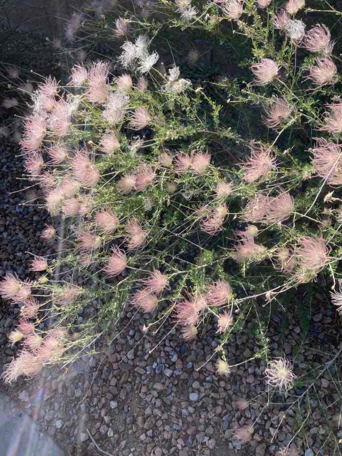 How To Be More Gentle - HubPages