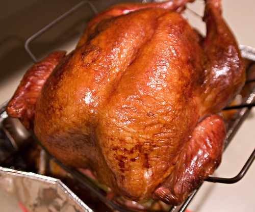 Simple and Savory Stuffed or Ground Turkey Recipes - HubPages