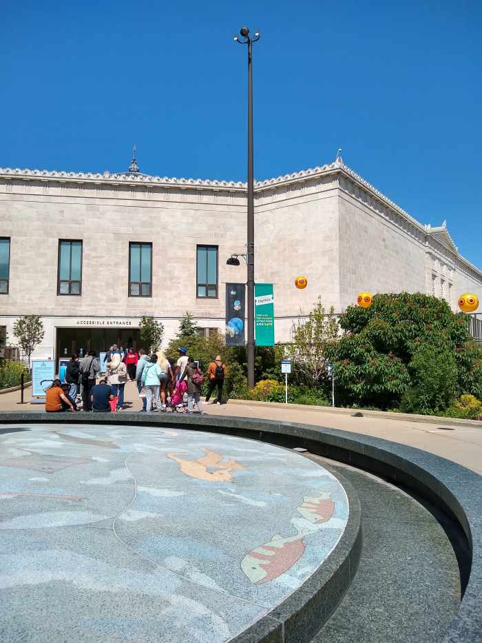 Discover the Wonders of the Sea at the Shedd Aquarium - HubPages