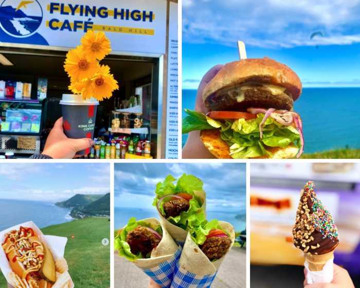 Discover the Thrill of Hang Gliding and Paragliding at Bald Hill ...