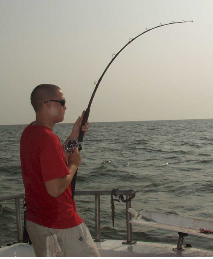 Shark Alley: How to Fish for Sharks - HubPages