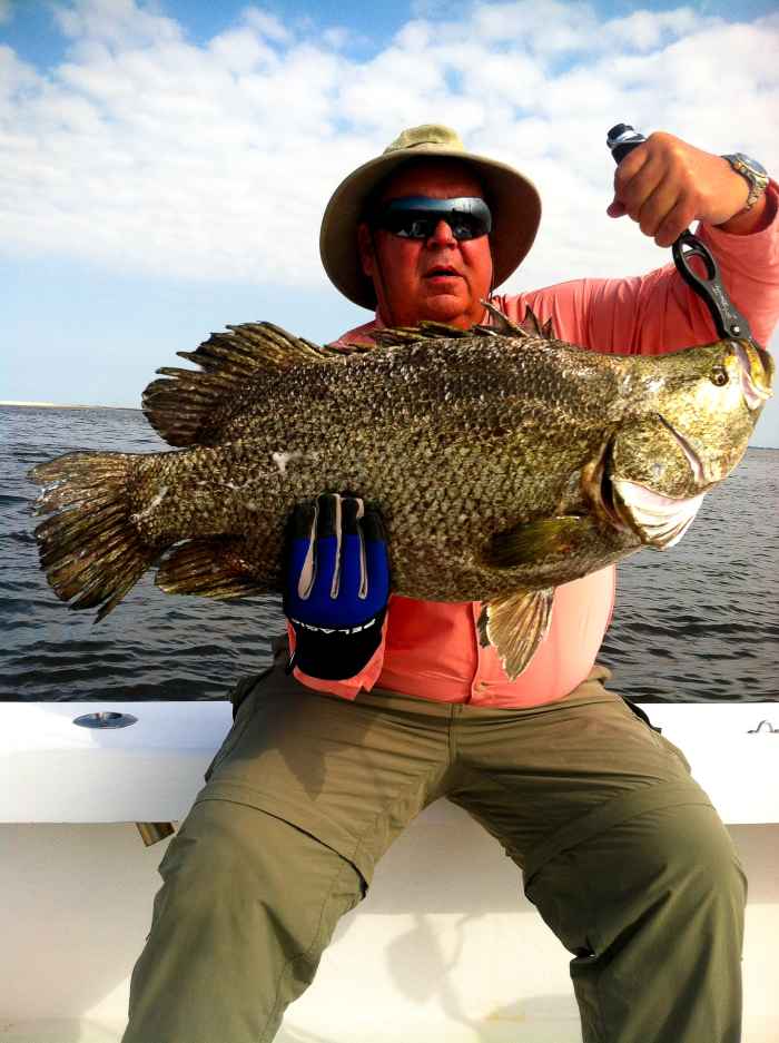 Tripletail Fishing: Tips and Tactics - HubPages