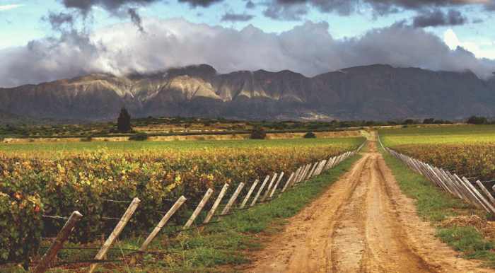 The Ultimate Guide to South America's Finest Wine Regions - HubPages