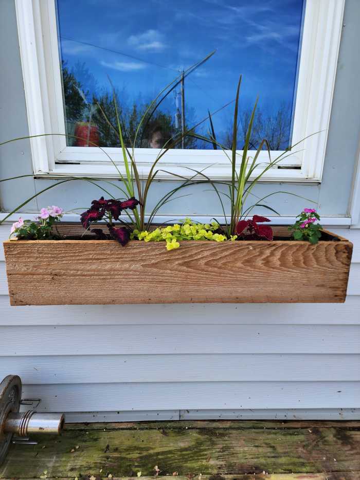My Diy Window Boxes - HubPages