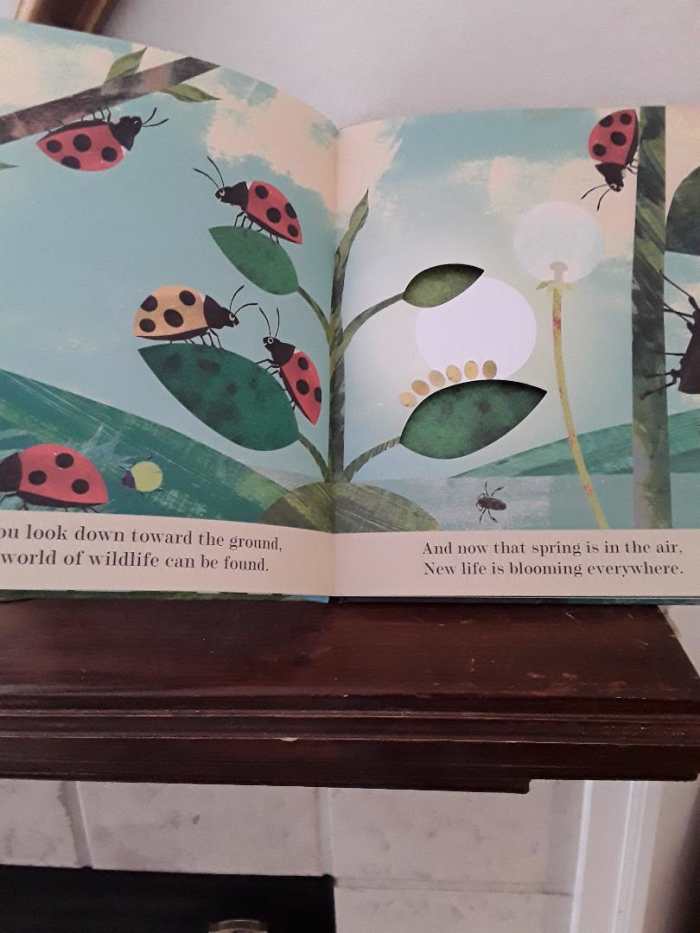 Bugs and Bees Are a Big Part of Our World as Depicted in 2 Peek-a-Boo ...