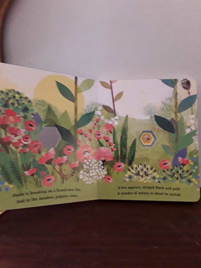 Bugs and Bees Are a Big Part of Our World as Depicted in 2 Peek-a-Boo ...