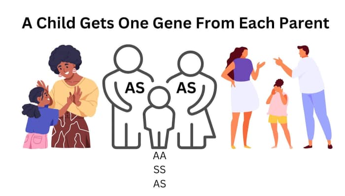 Sickle Cell Disease and Malaria - HubPages