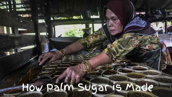 Real Benefits of Palm Sugar from Sugar Palm Trees - HubPages