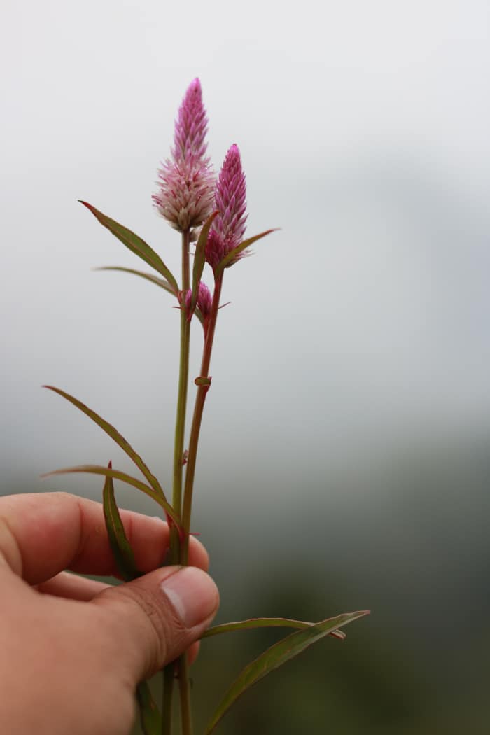 Cao Bang - Bac Can Book Trip (Part 2) - Ultra trail - HubPages