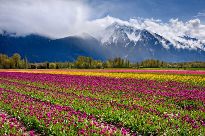 Explore the Fraser Valley, BC: Unveiling Hidden Gems - HubPages