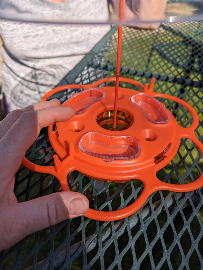 Oriole Feeder - Multi-Purpose - HubPages