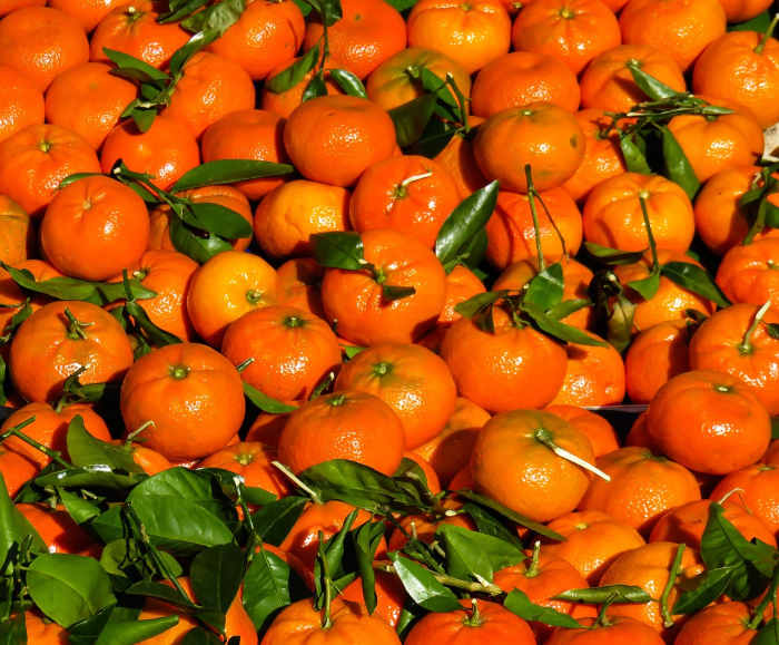 How to Grow Delectable Mandarin Orange Fruit in Arizona - HubPages