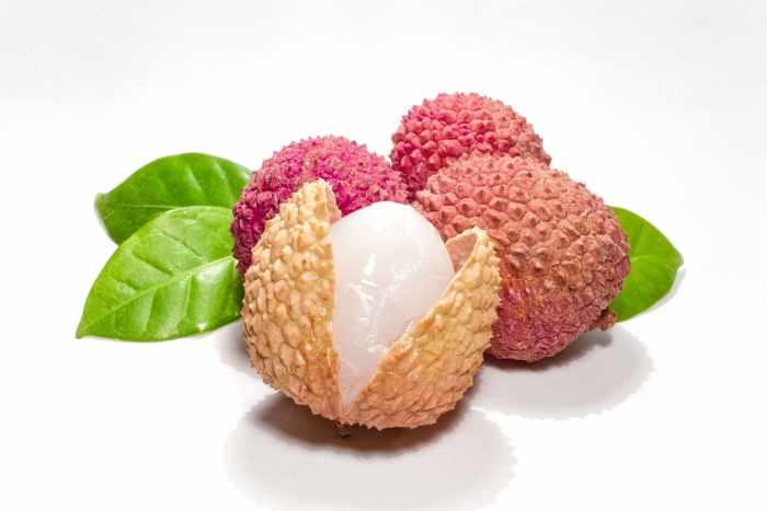 How to Grow Lychee at Home in Pot - HubPages