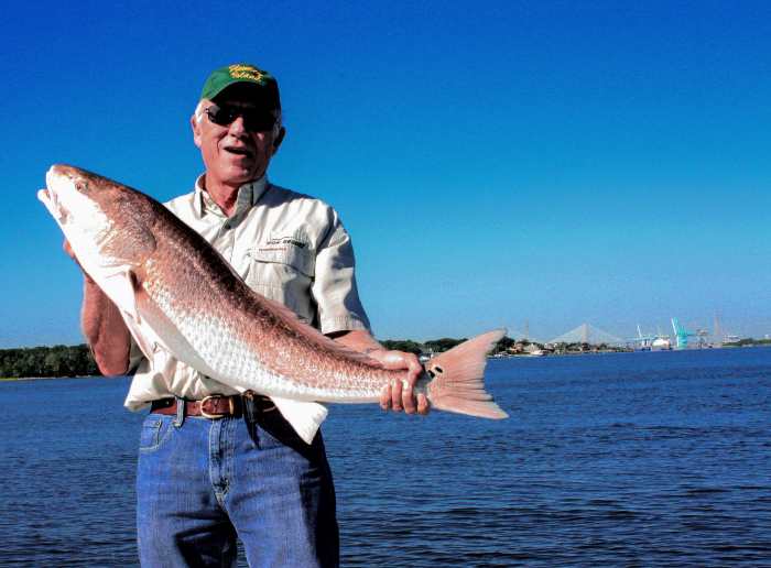 Georgia's Golden Isles Redfish - HubPages