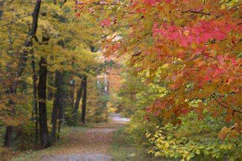 5 Best Fall Vacation Destinations - HubPages