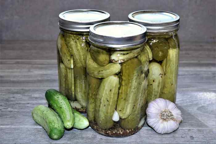 How to Make Garlic Dill Pickles - HubPages