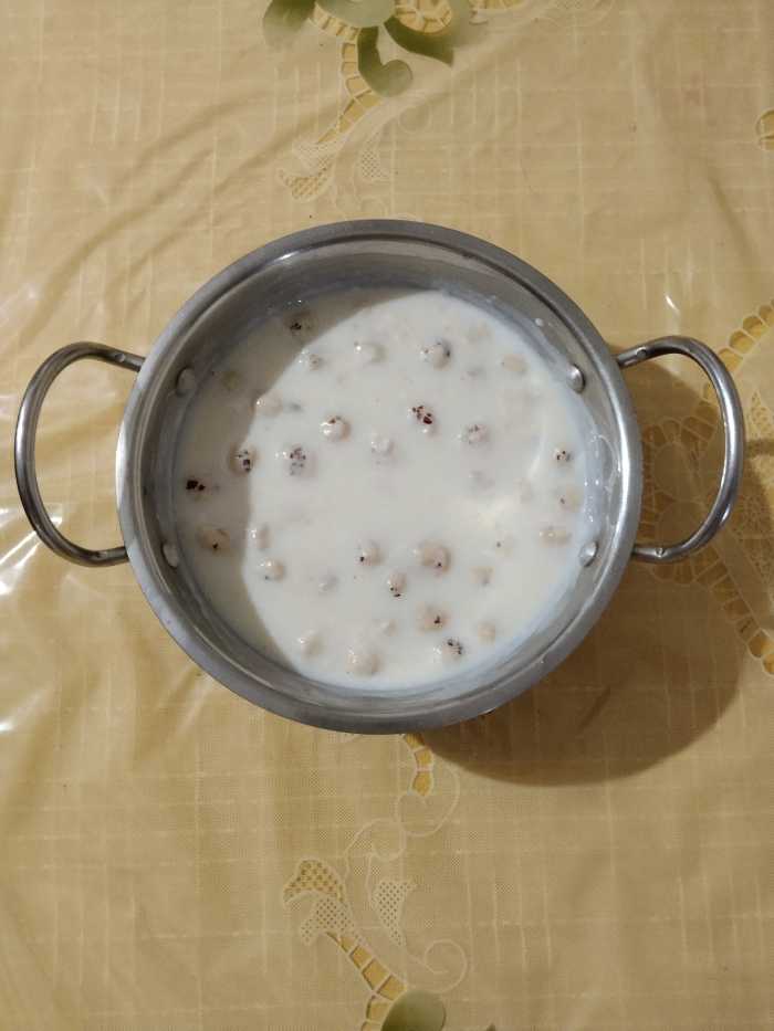 Fox Nuts - Oats - Sago Pudding - HubPages