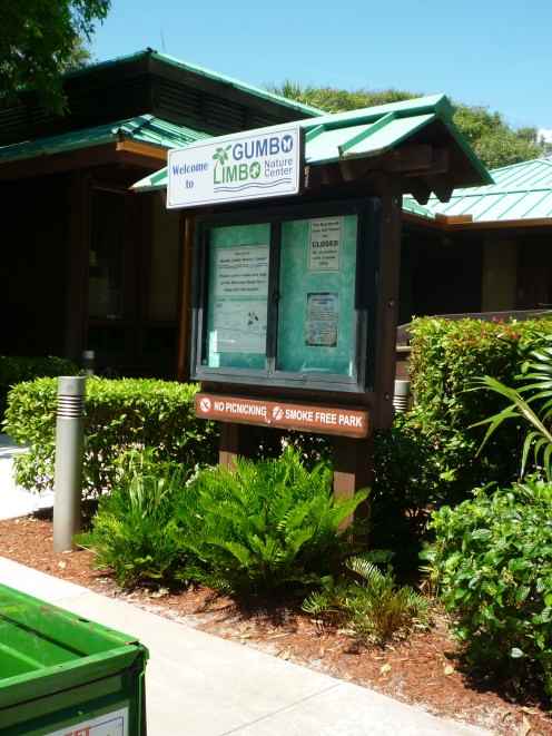 The Tourist Tree - Gumbo Limbo - HubPages