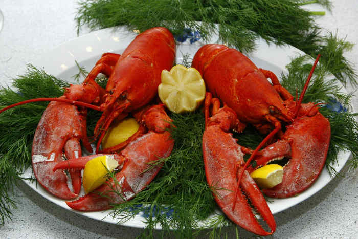 How to Buy Live Lobster Online (Plus Simple Recipe) - HubPages