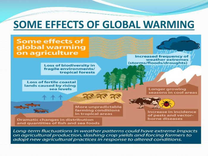Our Ticking Time Bomb: Global Warming and Climate Change - HubPages