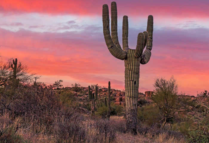 15 of the Best Arizona Attractions for Families With Kids - HubPages