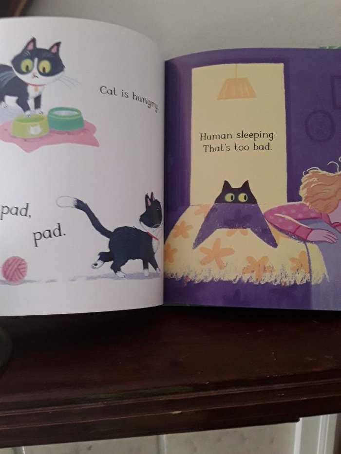 Cat Personalities and Activities Featured in Adorable Picture Book and ...