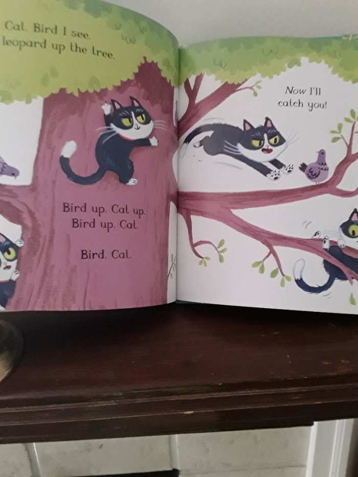 Cat Personalities and Activities Featured in Adorable Picture Book and ...