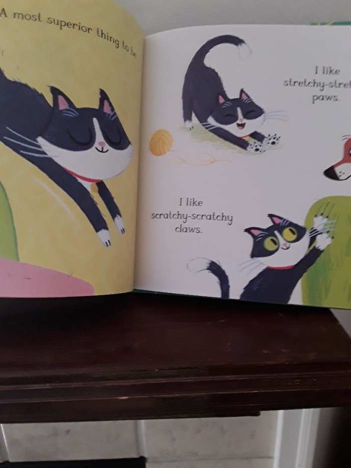 Cat Personalities and Activities Featured in Adorable Picture Book and ...